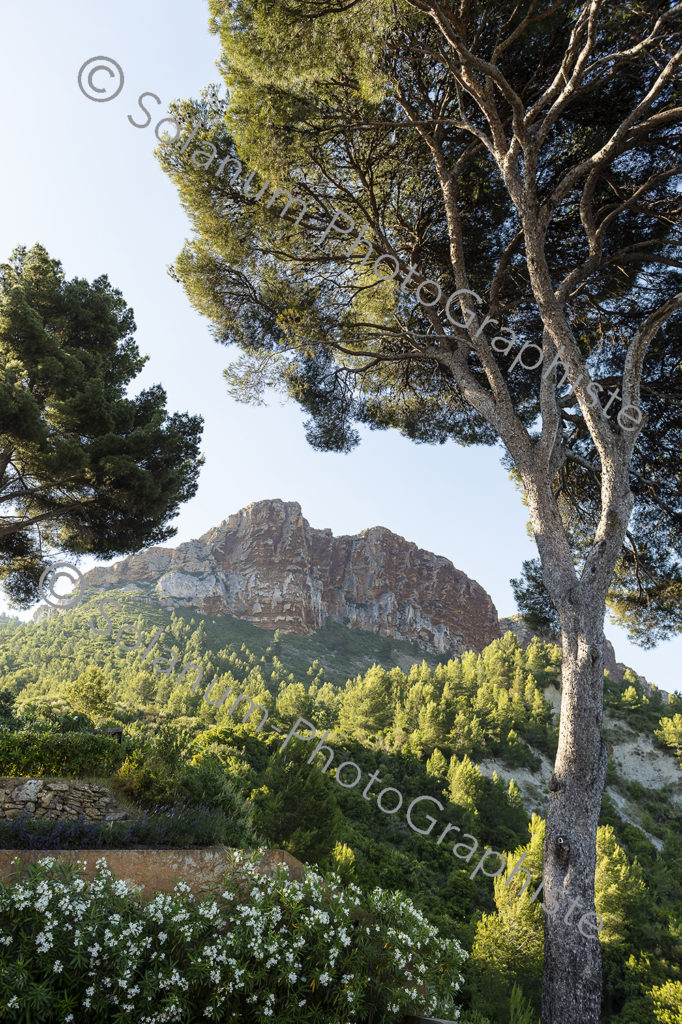 Vue imprenable sur le Cap Canaille à Cassis - Solanum-PhotoGraphiste